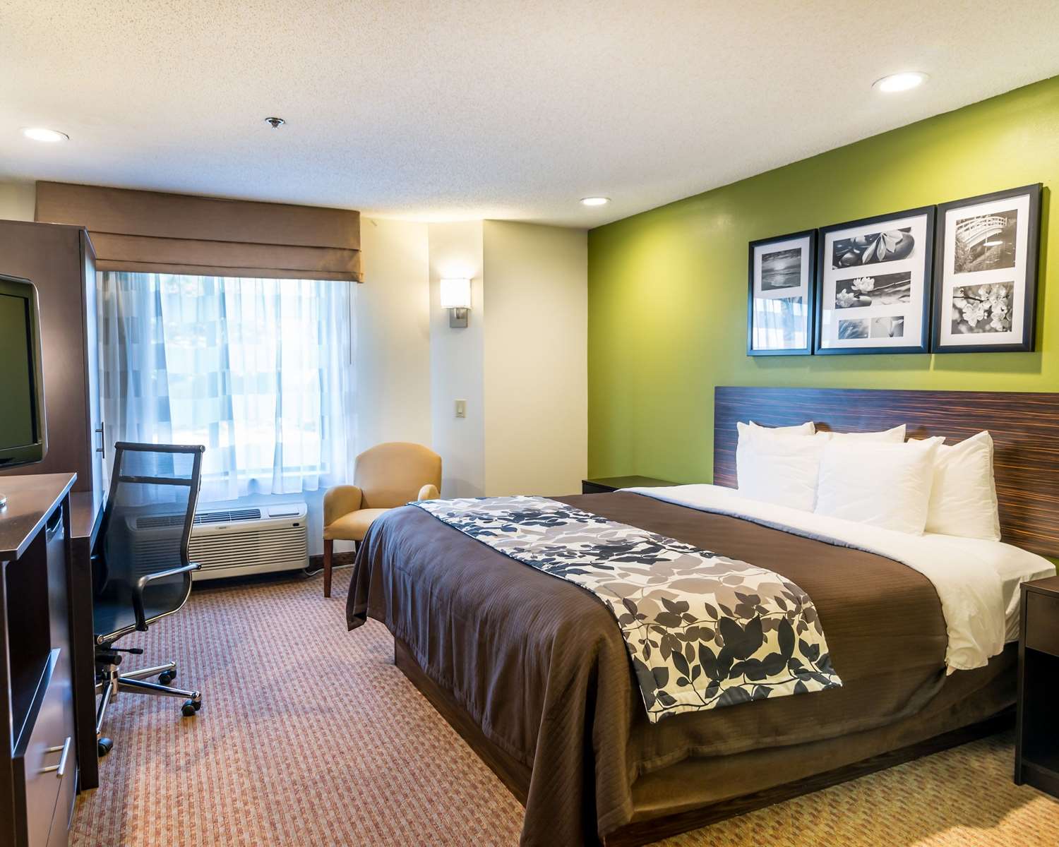 Sleep Inn Northwest Columbia, SC - See Discounts