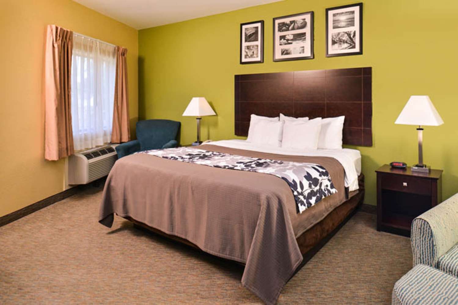 Sleep Inn & Suites Downtown Houston, TX - See Discounts