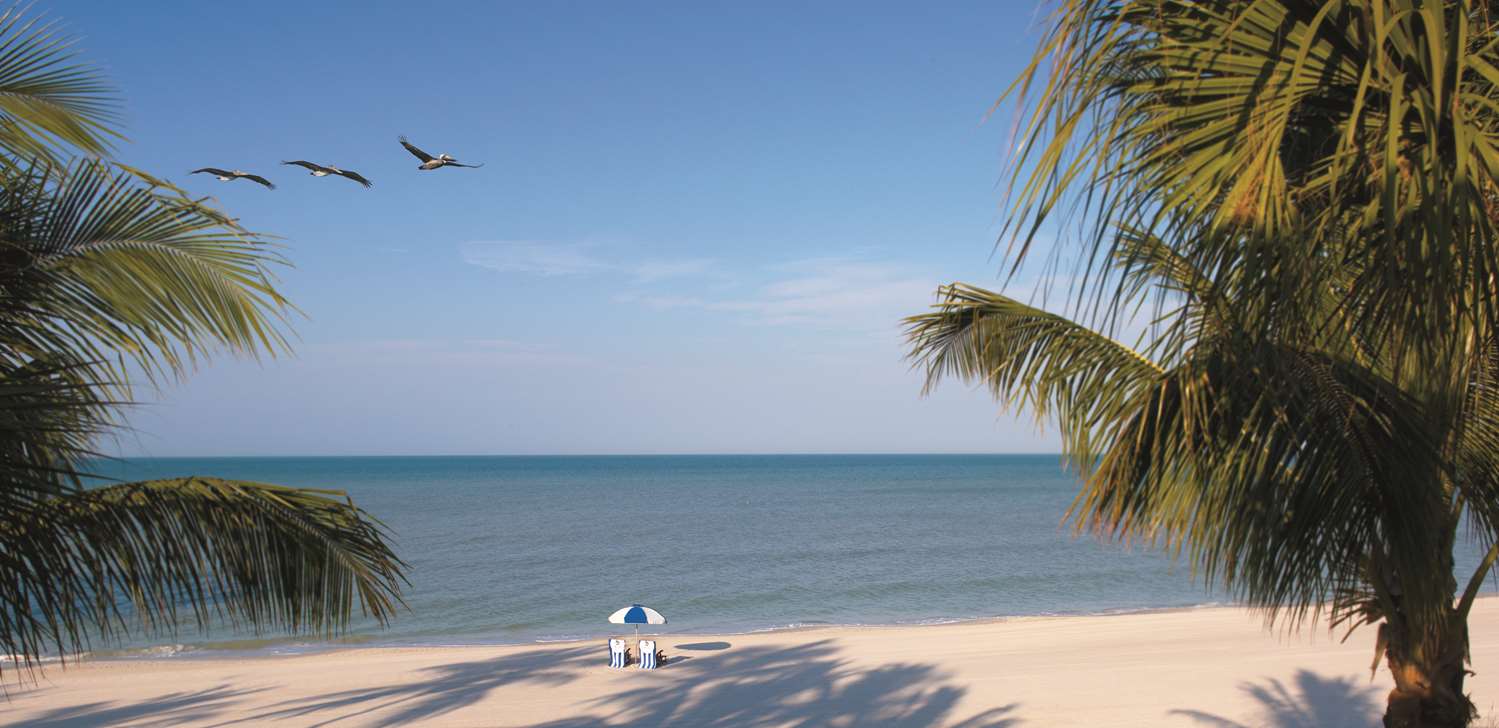 La Playa Beach Golf Resort Naples, FL - See Discounts