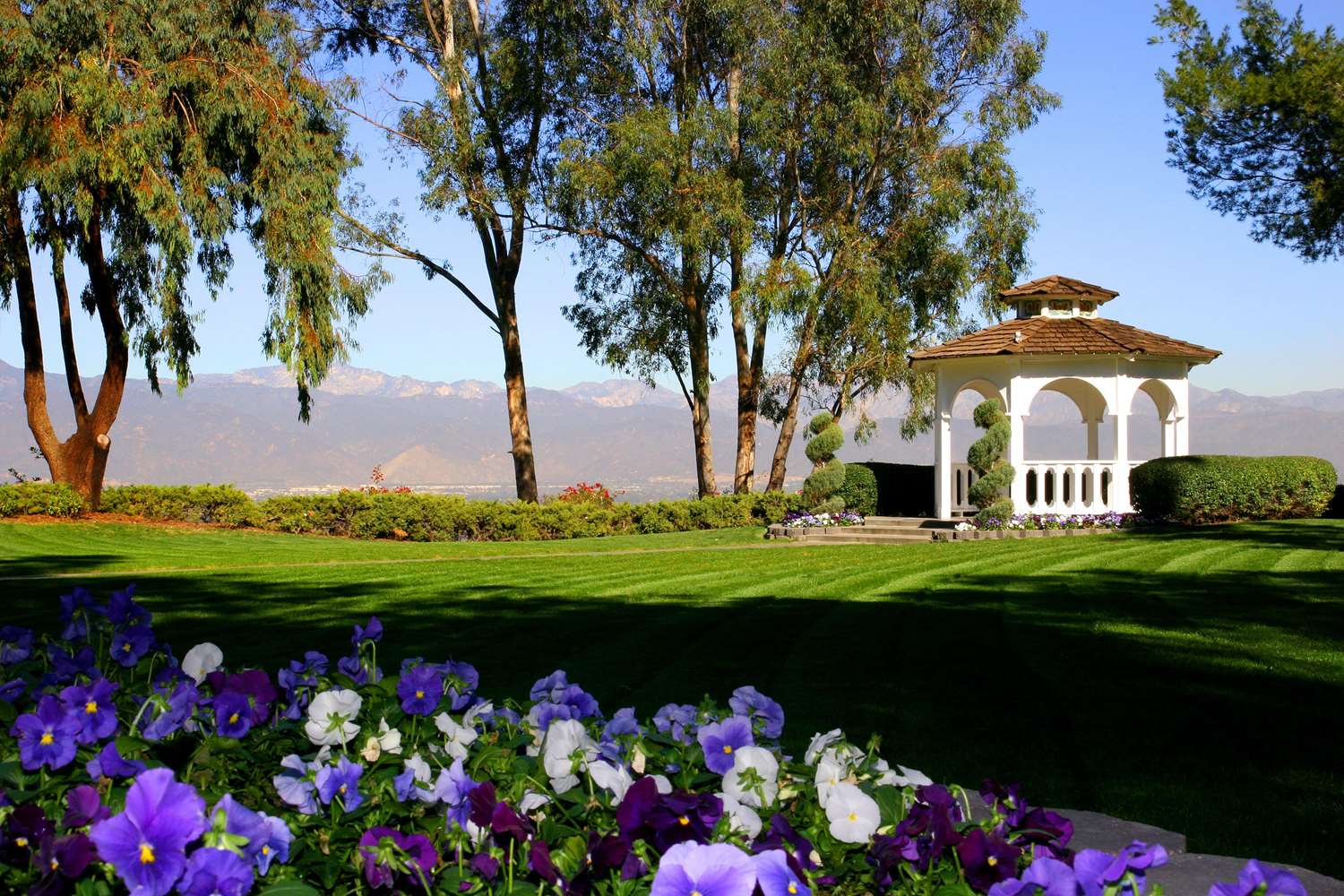 Pacific Palms Resort City of Industry, CA - See Discounts