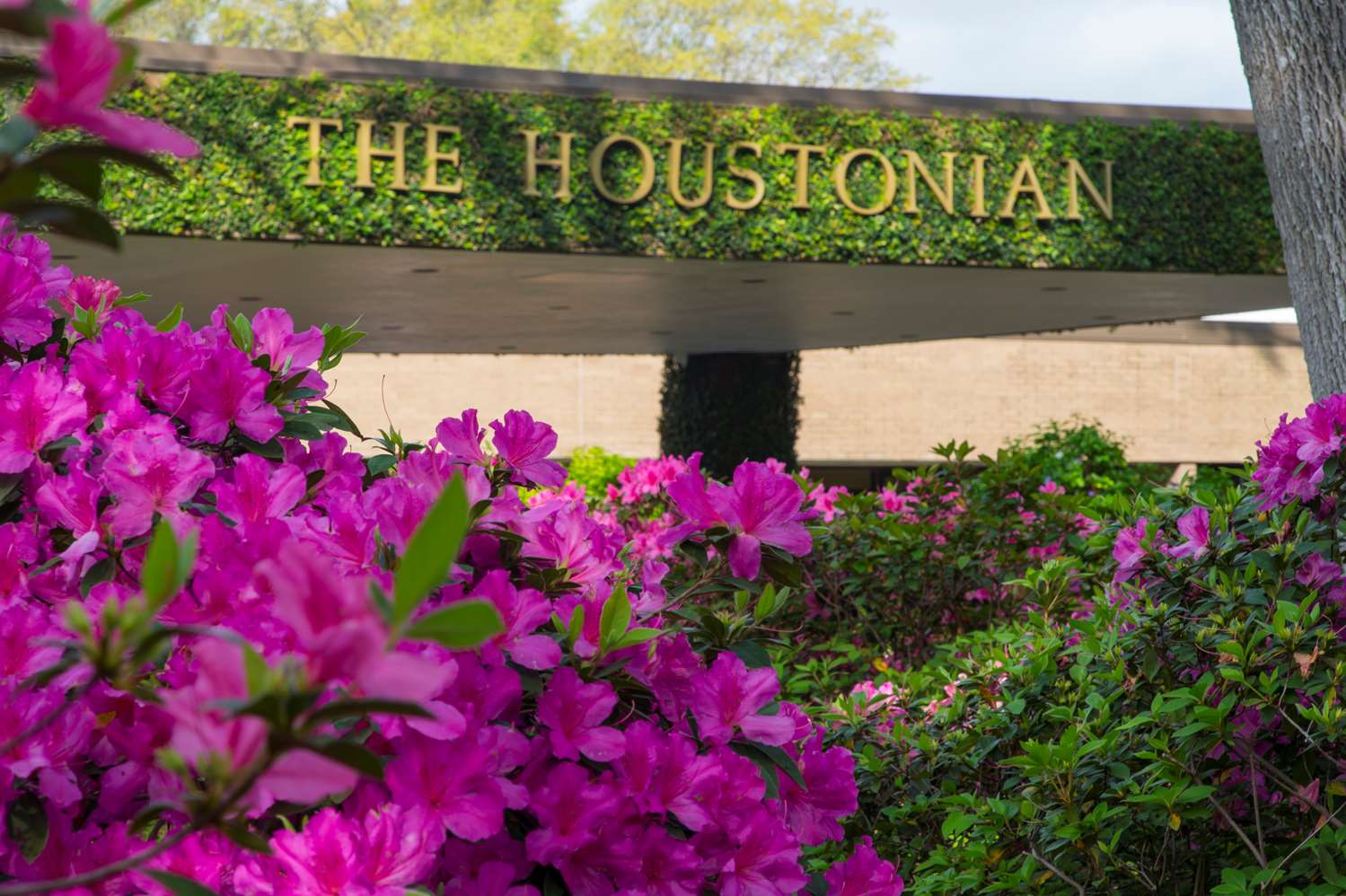 Houstonian Hotel, TX - See Discounts