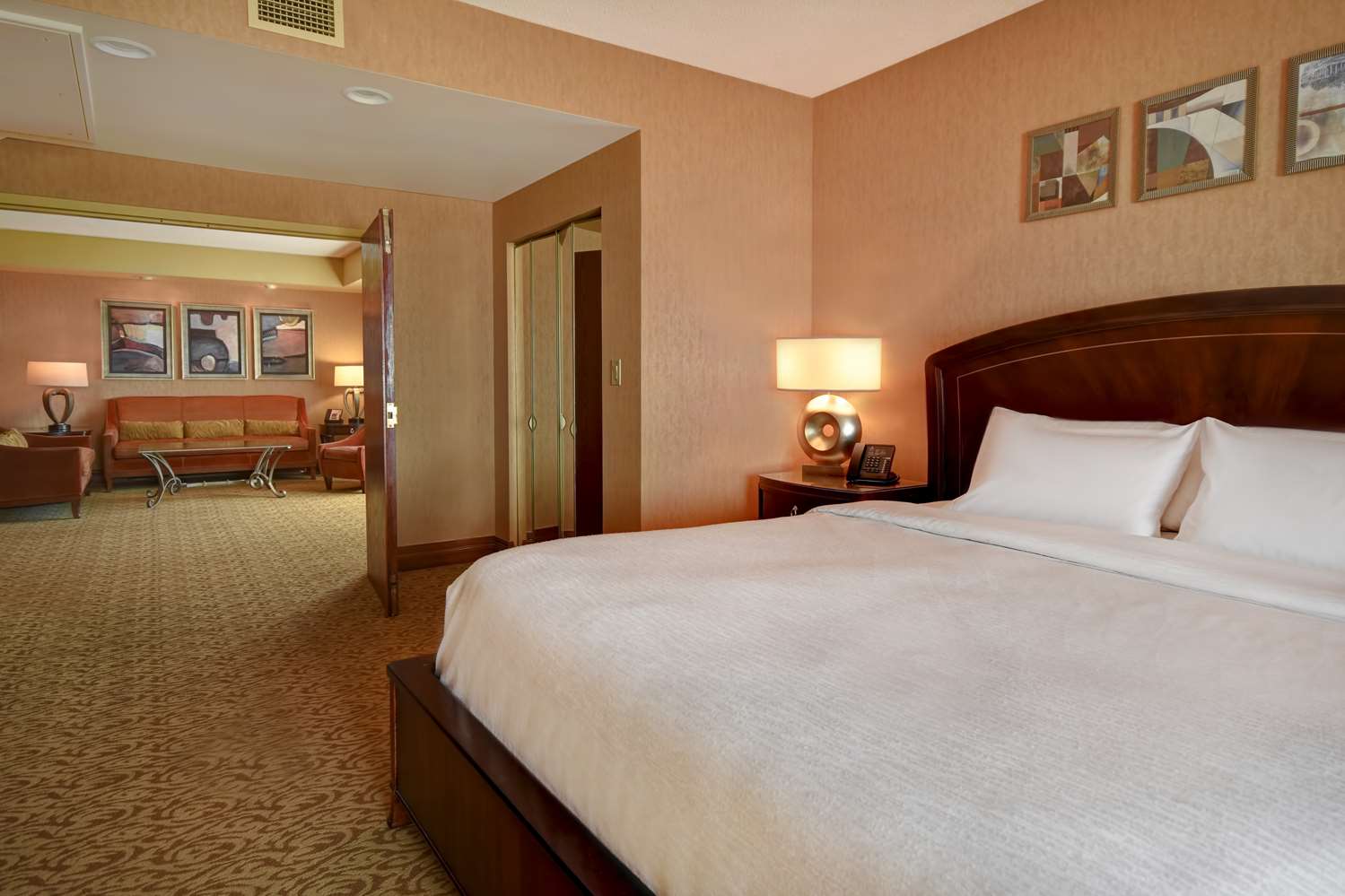 Embassy Suites Hot Springs, AR - See Discounts