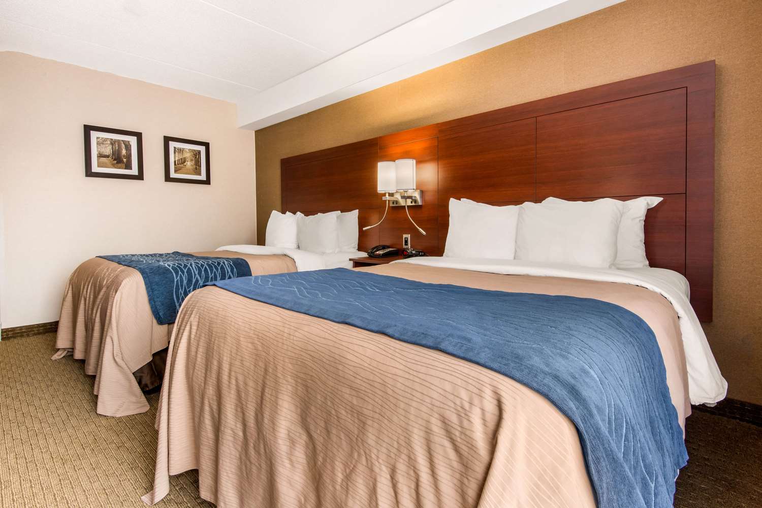 Comfort Inn Toronto Airport West Mississauga, ON - See Discounts