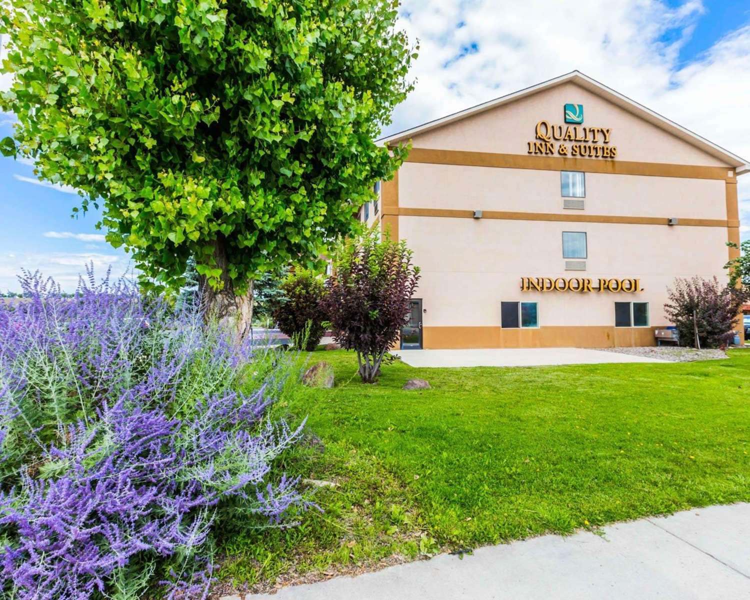 Quality Inn & Suites Montrose, CO - See Discounts