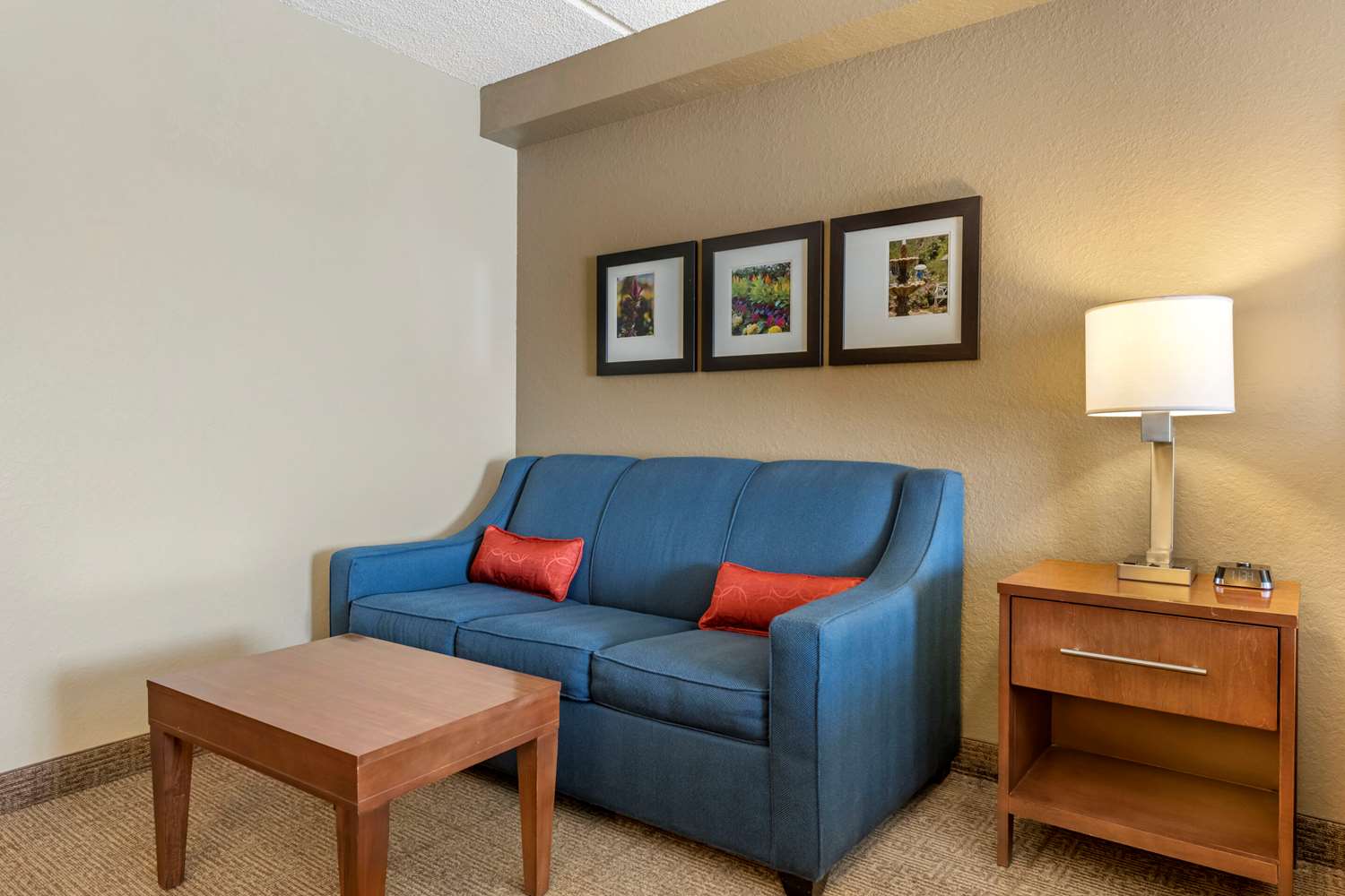 Comfort Inn & Suites Sanford - I-4, Exit 101C, FL - See Discounts