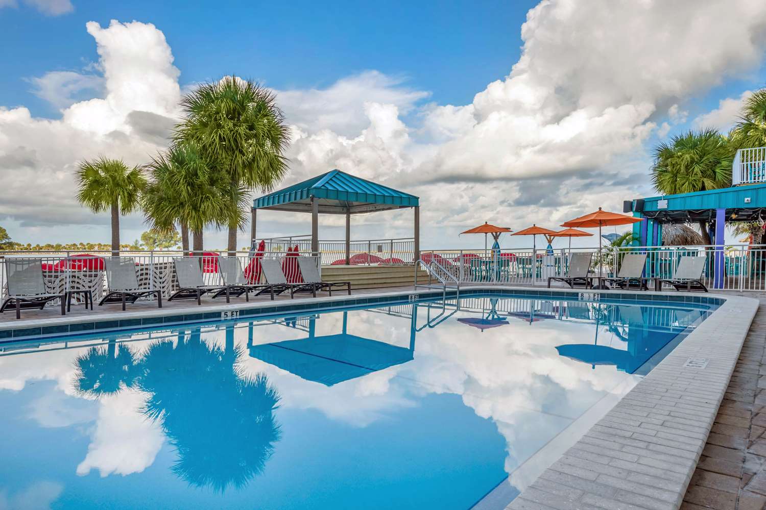 Winter the Dolphins Beach Club Resort Clearwater Beach, FL - See Discounts